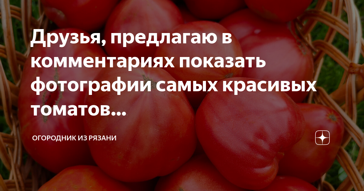 Друзья, предлагаю в комментариях показать фотографии самых красивых ...