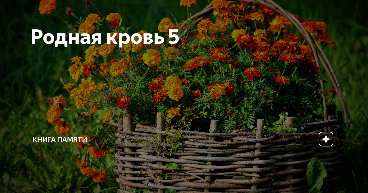 Родная кровь 5 | Книга памяти | Дзен