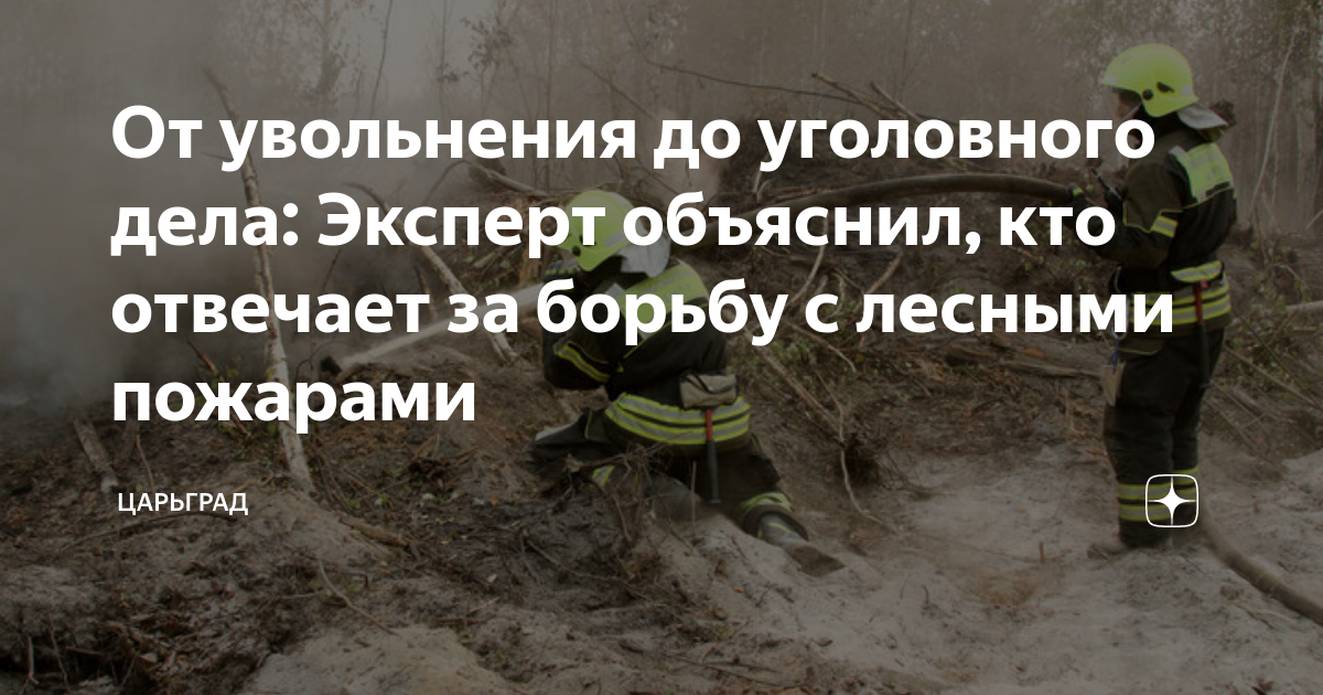 От увольнения до уголовного дела Эксперт объяснил кто отвечает за