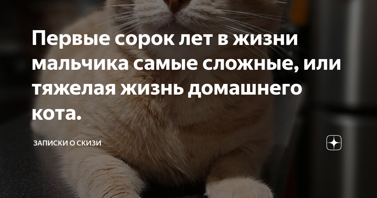 Первые сорок лет в жизни мальчика самые сложные, или тяжелая жизнь ...