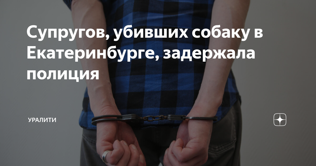 Супругов убивших собаку в Екатеринбурге задержала полиция УРАЛИТИ Дзен