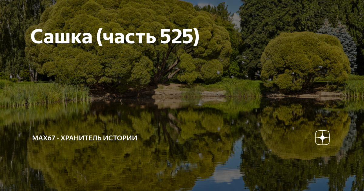 Сашка (часть 525) | MAX67 - Хранитель Истории | Дзен