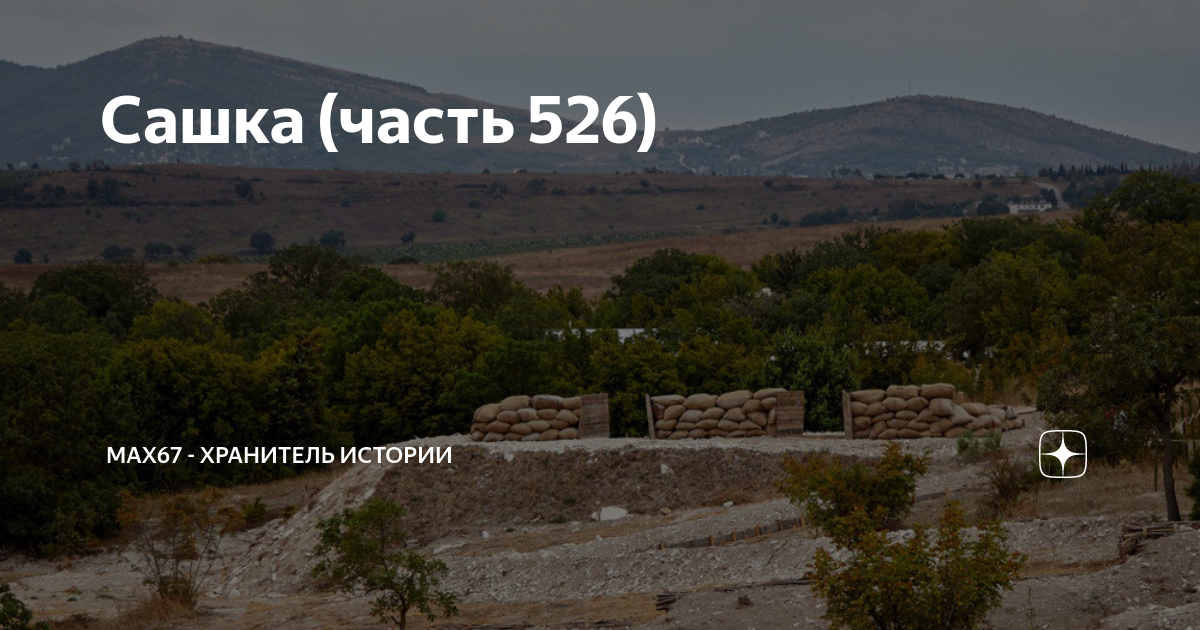 Сашка (часть 526) | MAX67 - Хранитель Истории | Дзен