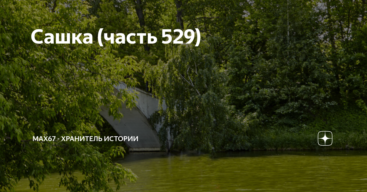 Сашка (часть 529) | MAX67 - Хранитель Истории | Дзен