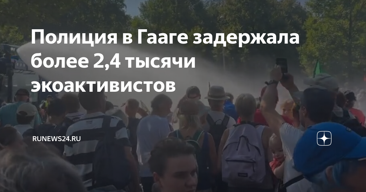Полиция в Гааге задержала более 2,4 тысячи экоактивистов | RuNews24.ru | Дзен