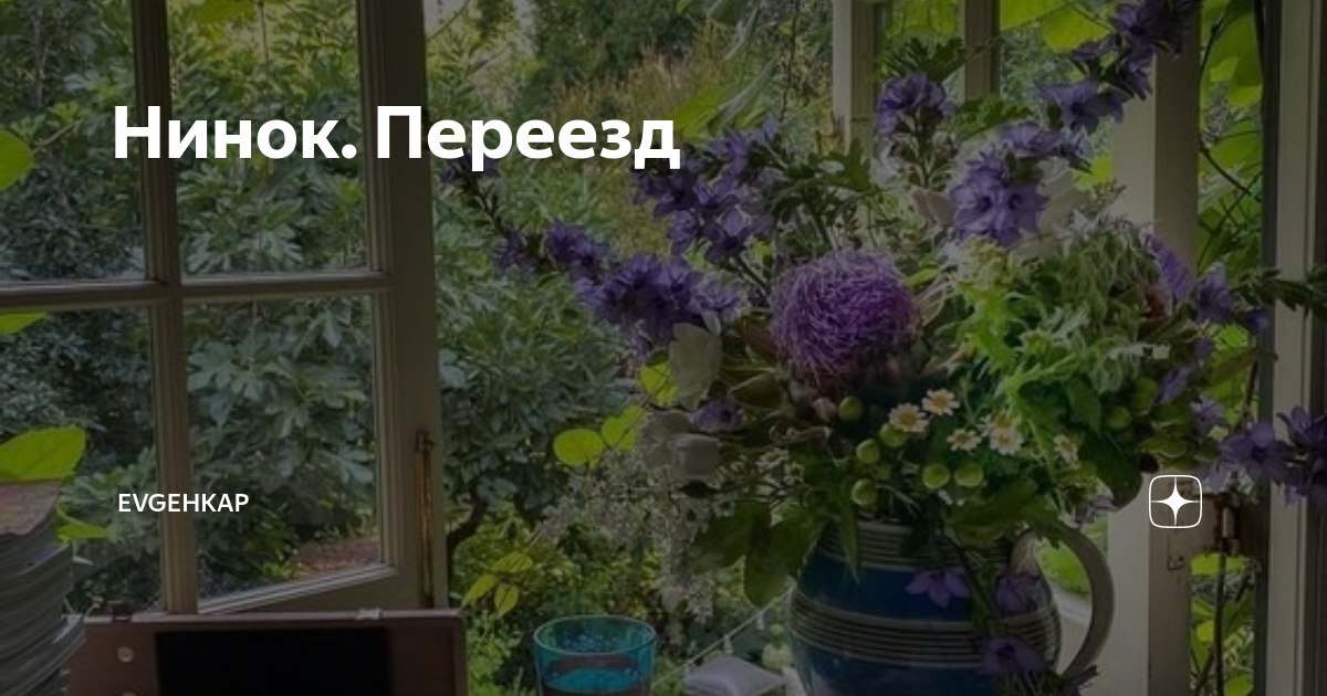Нинок. Переезд | Evgehkap | Дзен