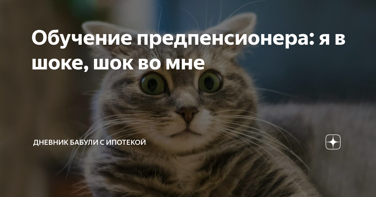 Обучение предпенсионера я в шоке шок во мне Дневник Мамзели и двух