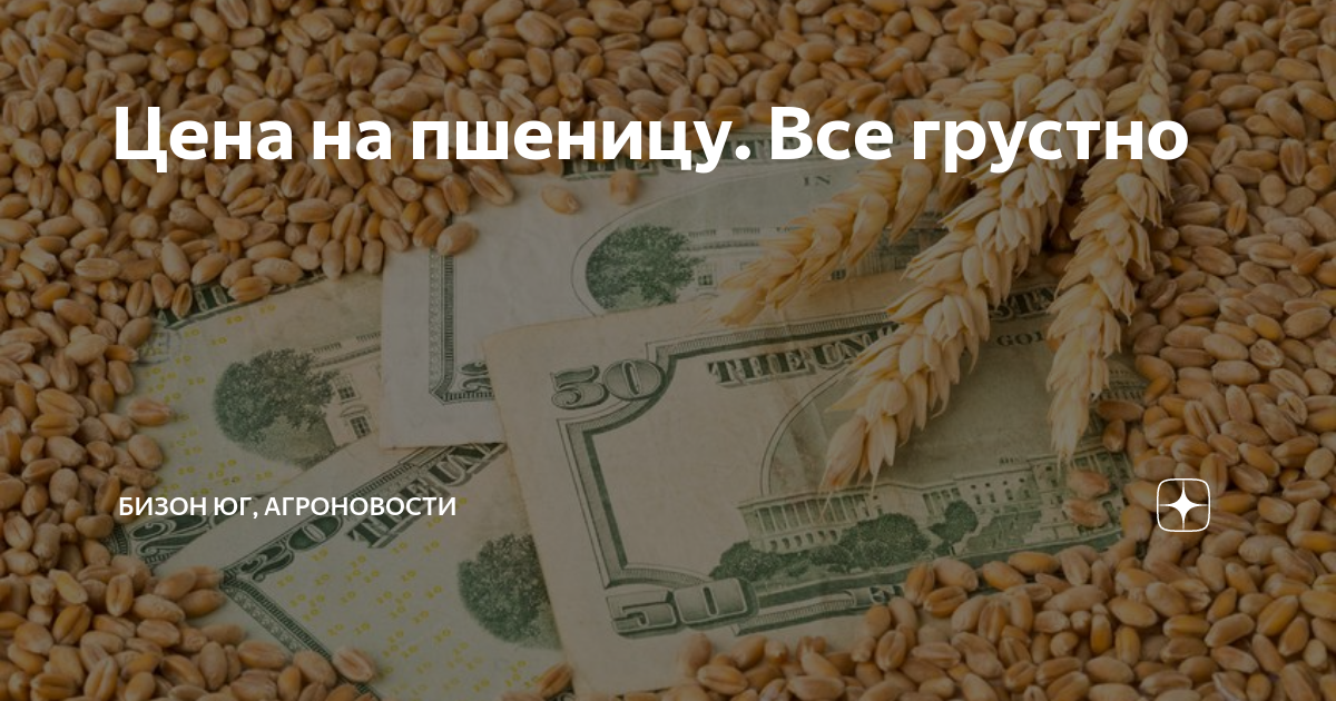 Цена на пшеницу. Все грустно | Бизон, агроновости | Дзен