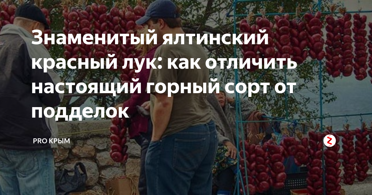 Знаменитый ялтинский красный лук: как отличить настоящий горный сорт от ...