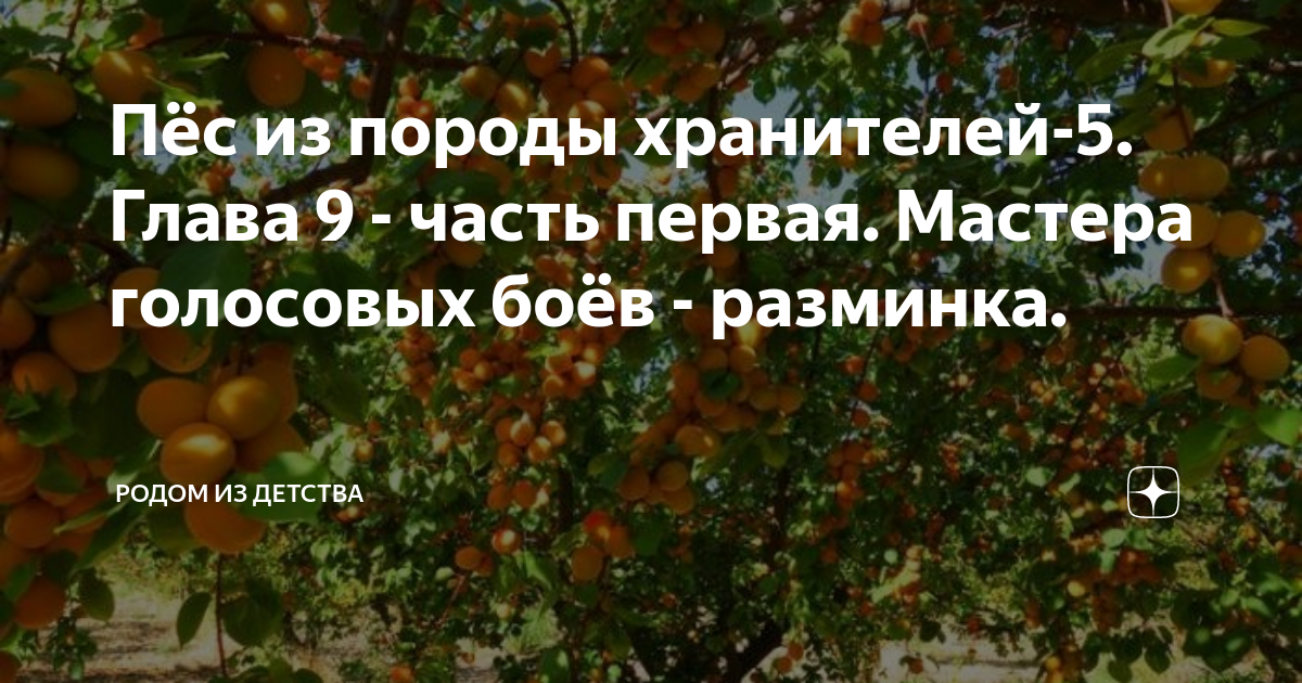 Пёс из породы хранителей-5. Глава 9 - часть первая. Мастера голосовых ...