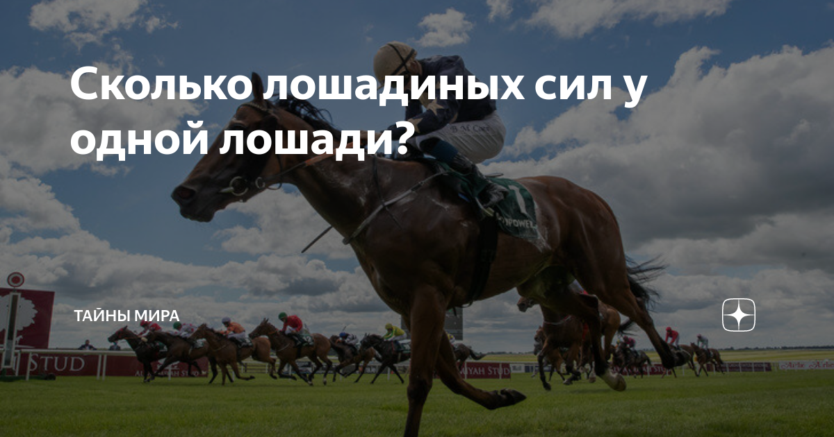 Сколько лошадиных сил у одной лошади? | Тайны мира | Дзен