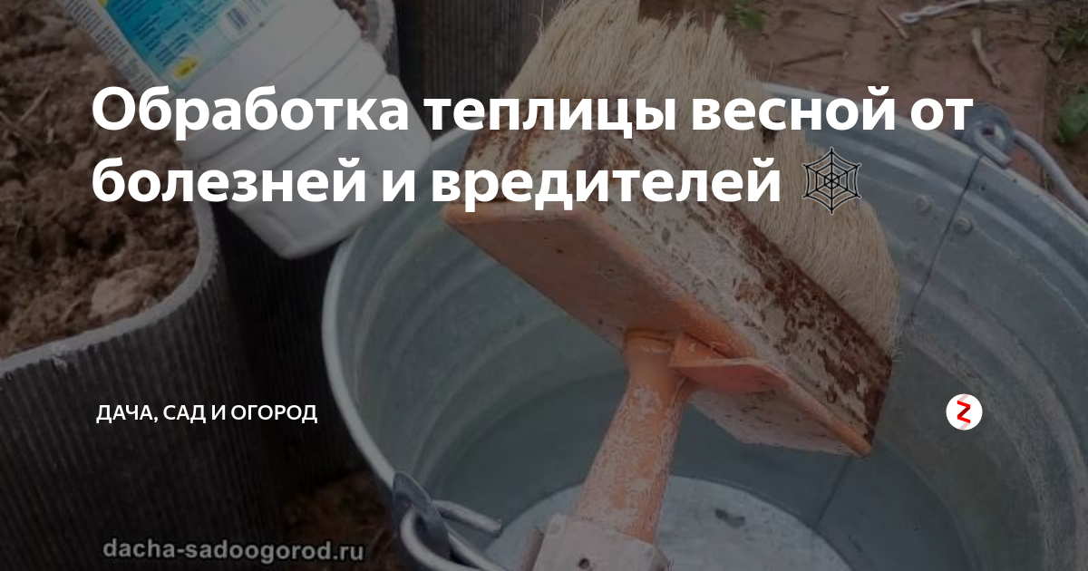 Обработка теплицы весной от болезней и вредителей 🕸 | Огородная фанатка ...