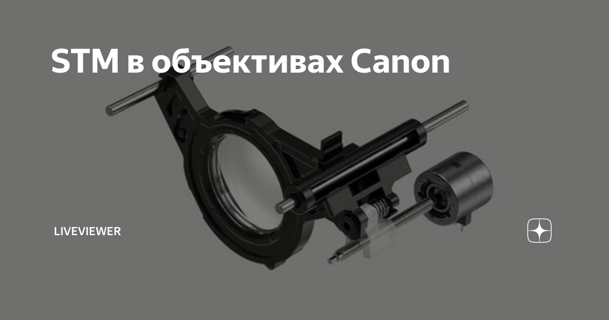 STM в объективах Canon | Иди и снимай | Дзен