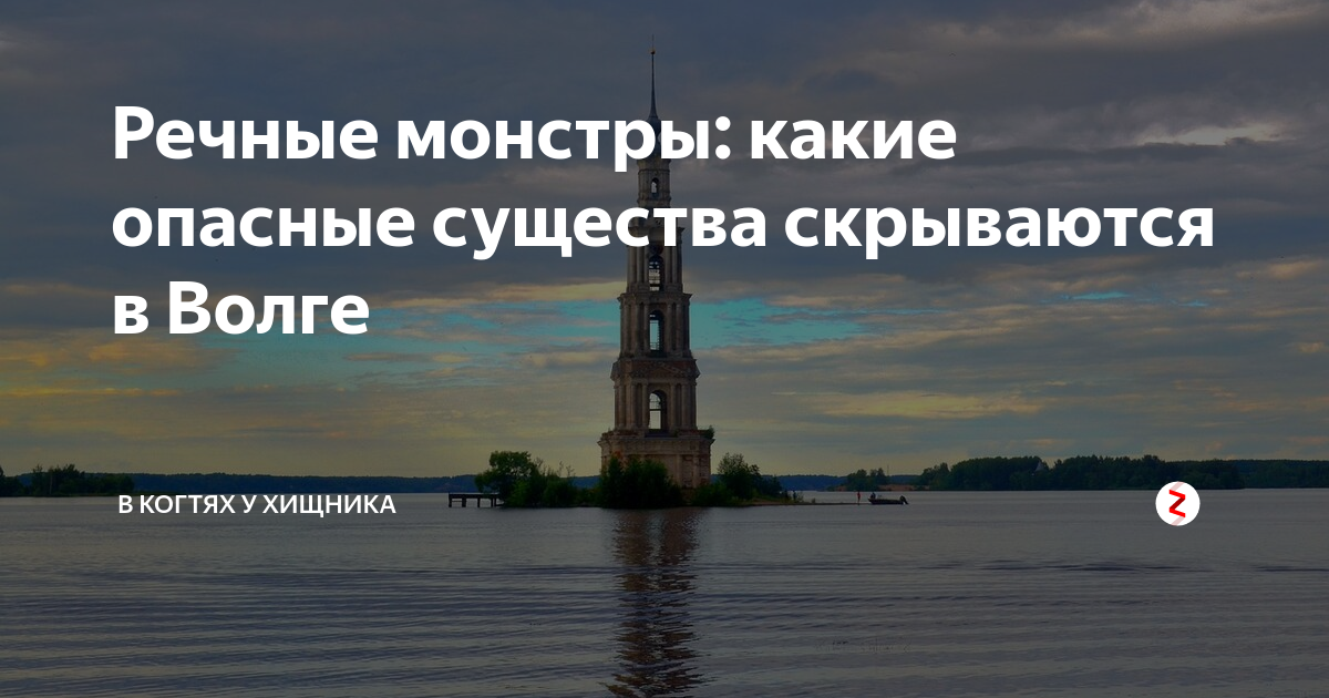 Речные монстры какие опасные существа скрываются в Волге В когтях у