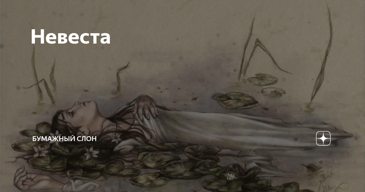 Невеста | Бумажный Слон | Дзен