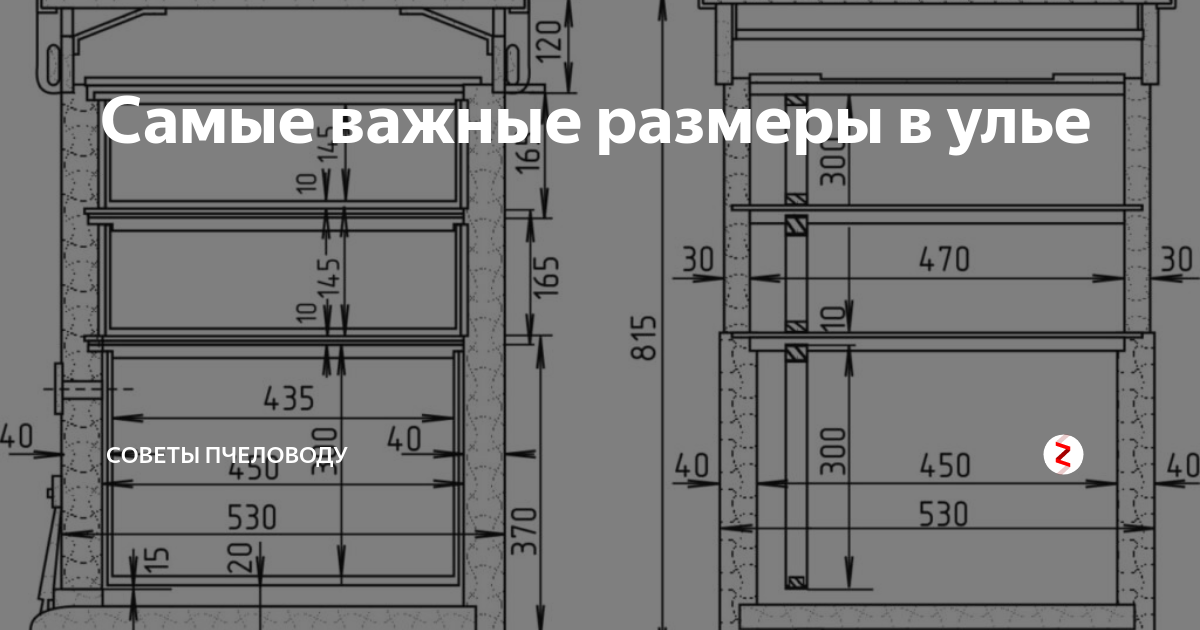 Самые важные размеры в улье | Советы пчеловода | Дзен