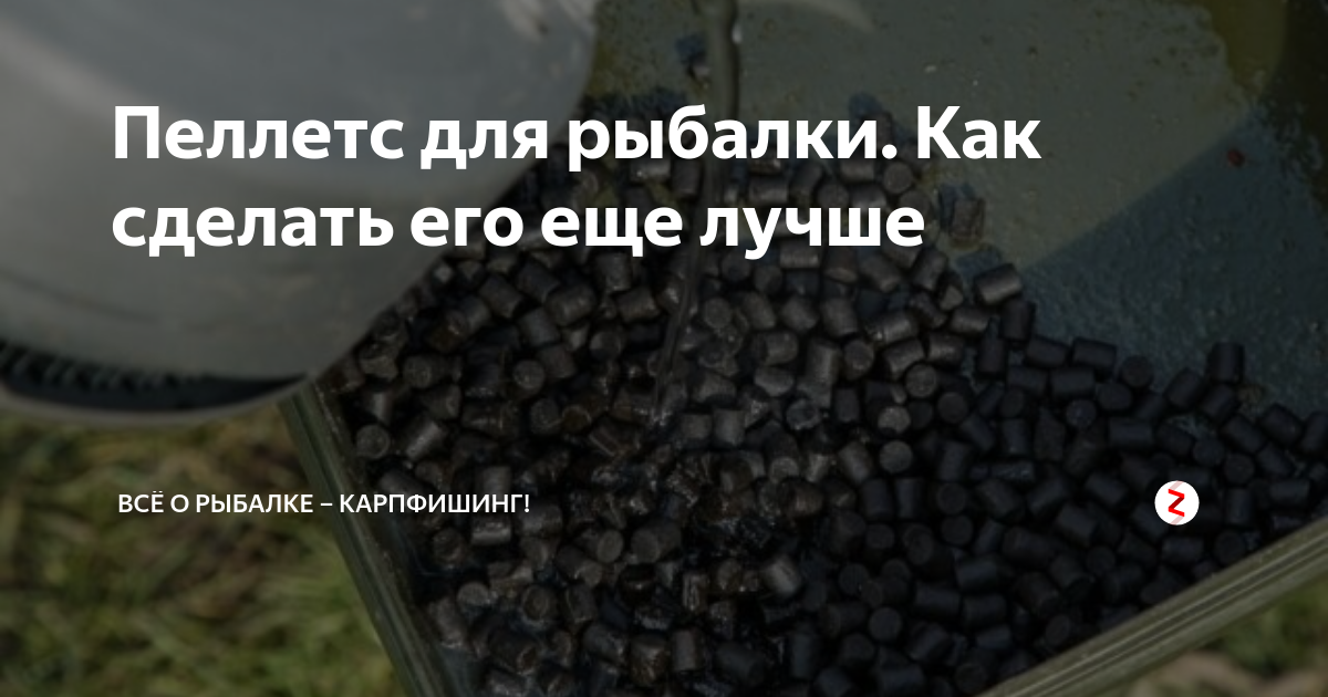 Пеллетс для рыбалки. Как сделать его еще лучше | CARPtoday – карпфишинг ...