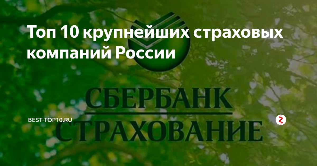 Топ 10 крупнейших страховых компаний России Best Дзен