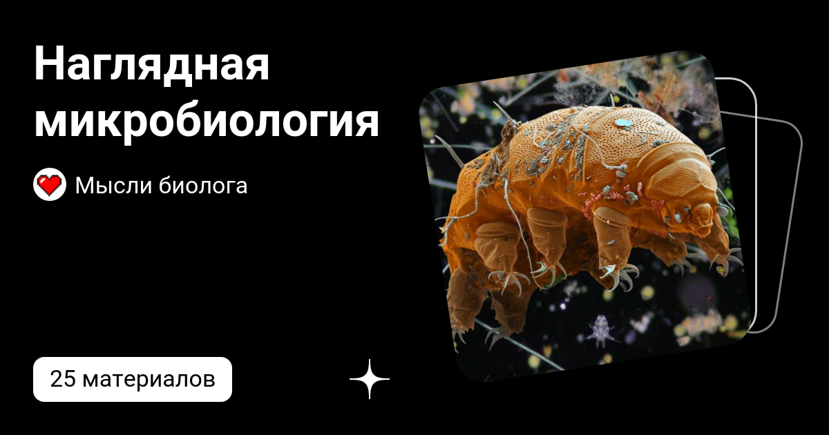 Наглядная микробиология | Мысли биолога | Дзен