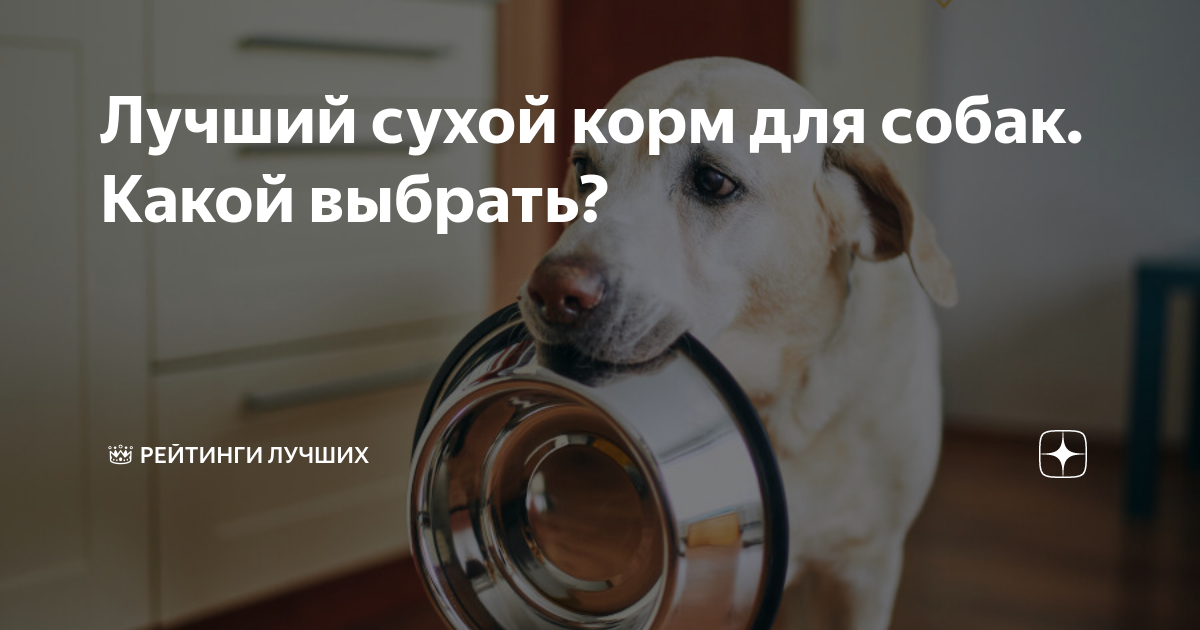 Лучший сухой корм для собак. Какой выбрать? | 👑 Рейтинги лучших | Дзен
