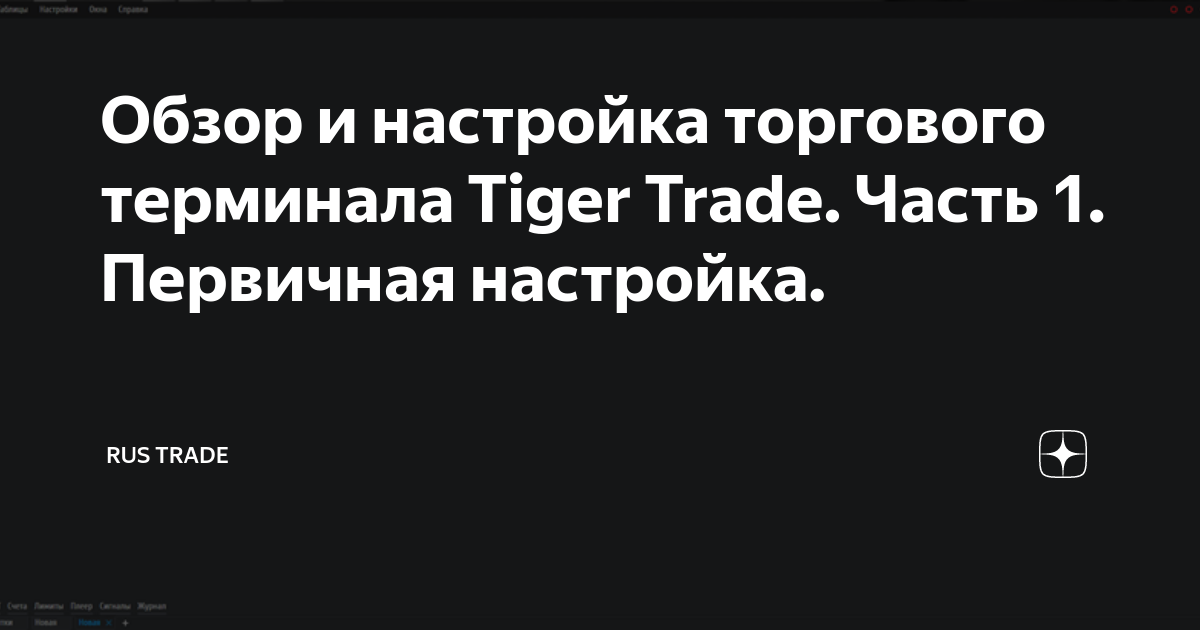 Обзор и настройка торгового терминала Tiger Trade. Часть 1. Первичная настройка. | Rus Trade | Дзен