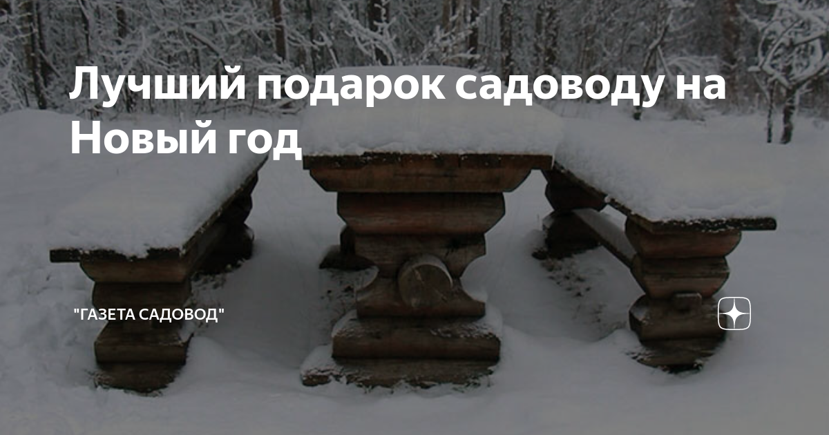 Лучший подарок садоводу на Новый год | "Газета садовод" | Дзен