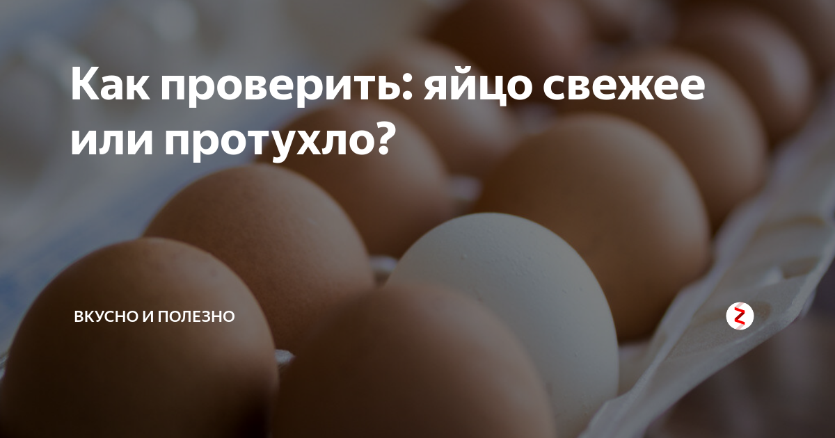 Как проверить: яйцо свежее или протухло? | Вкусно и полезно | Дзен