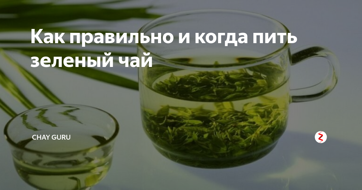Как правильно и когда пить зеленый чай Chay Guru Дзен