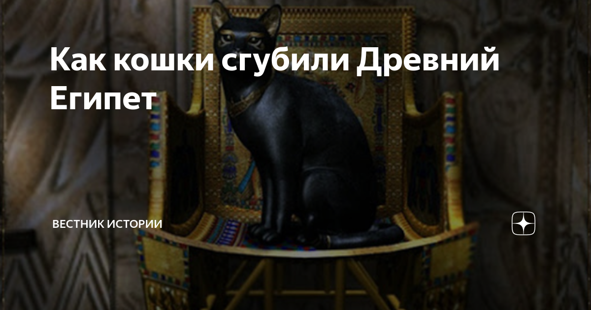 Как кошки сгубили Древний Египет | Вестник истории | Дзен