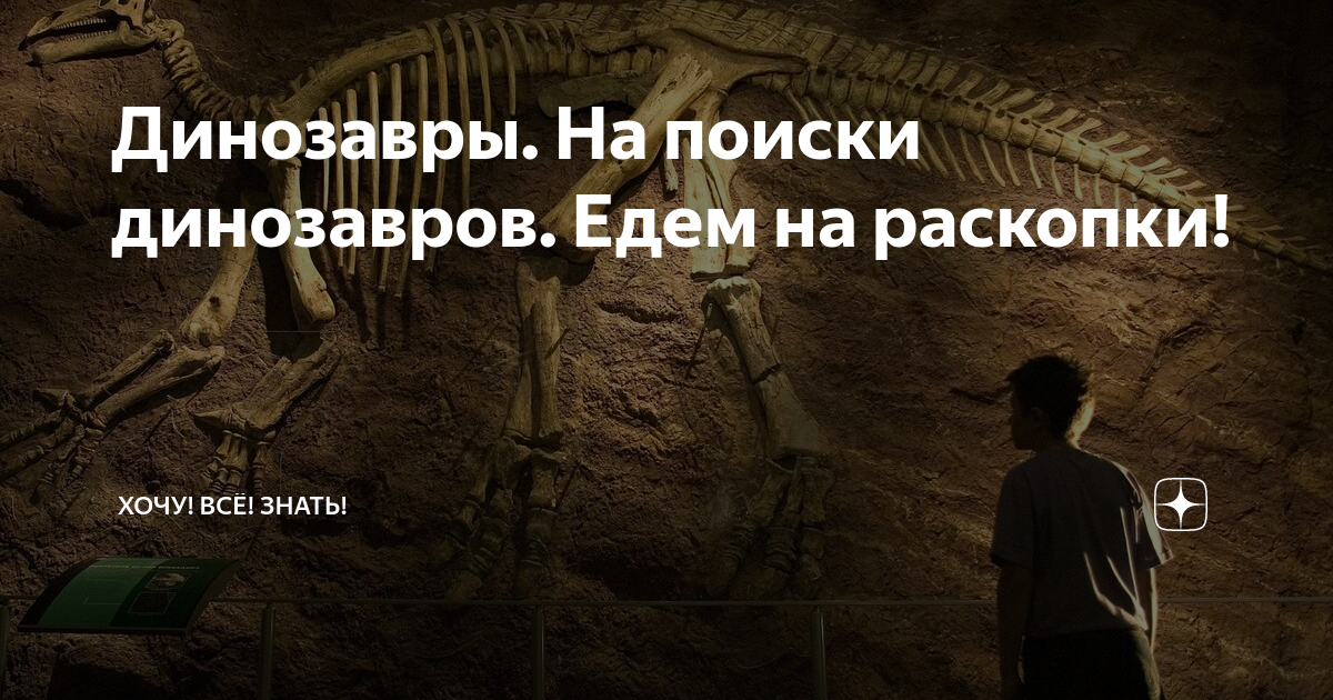 Динозавры. На поиски динозавров. Едем на раскопки! | Хочу! Всё! Знать ...