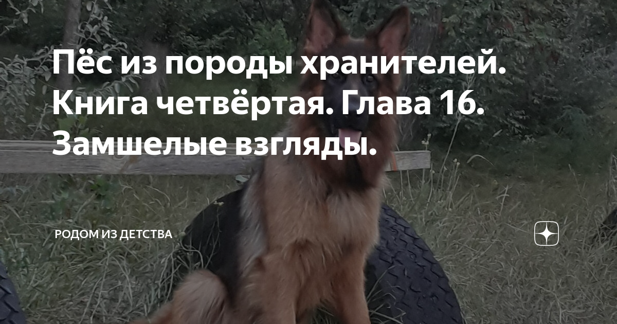 Пёс из породы хранителей. Книга четвёртая. Глава 16. Замшелые взгляды ...