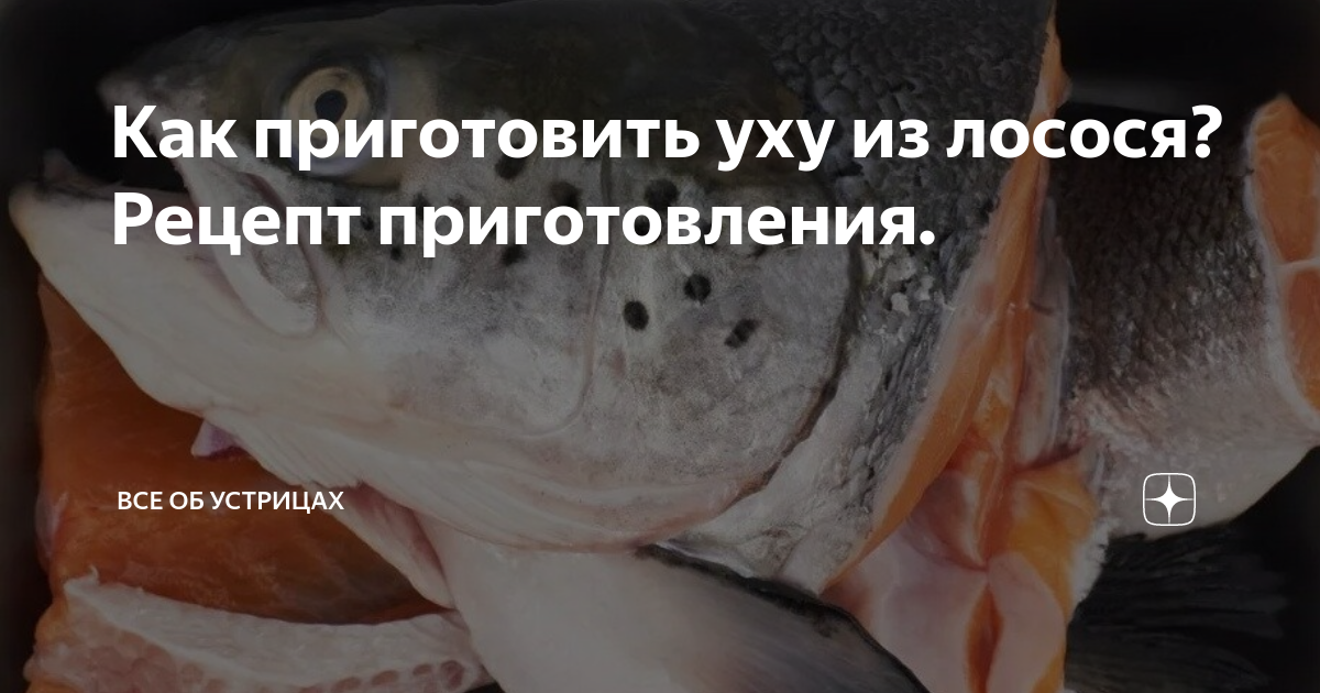 Как приготовить уху из лосося? Рецепт приготовления. | Все об устрицах ...