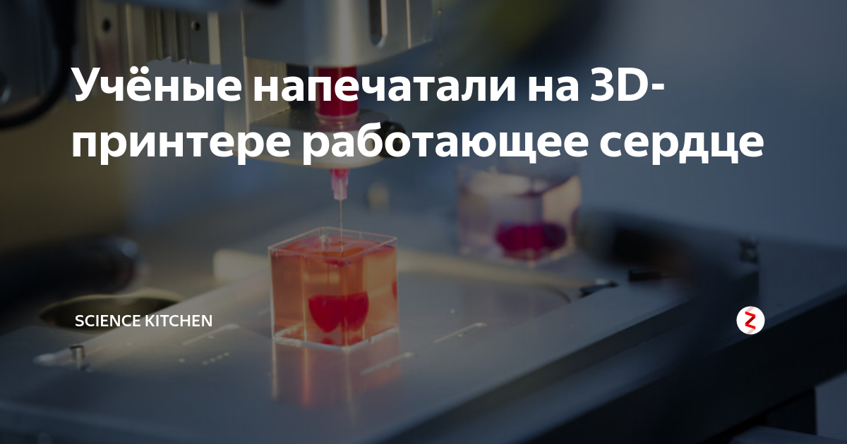 Учёные напечатали на 3d принтере работающее сердце Science And Future