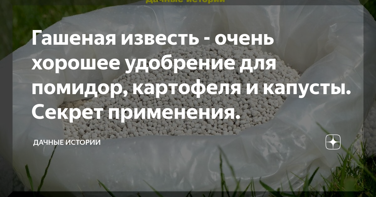 Гашеная известь - очень хорошее удобрение для помидор, картофеля и ...