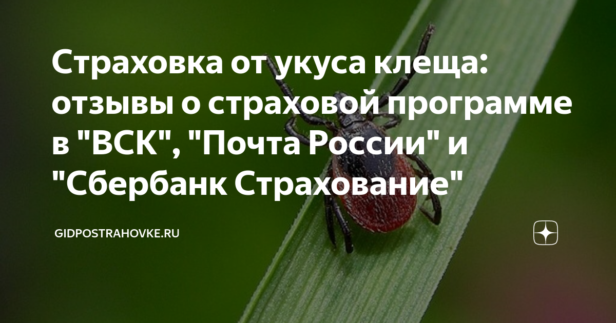 Страховка от укуса клеща: отзывы о страховой программе в "ВСК", "Почта ...