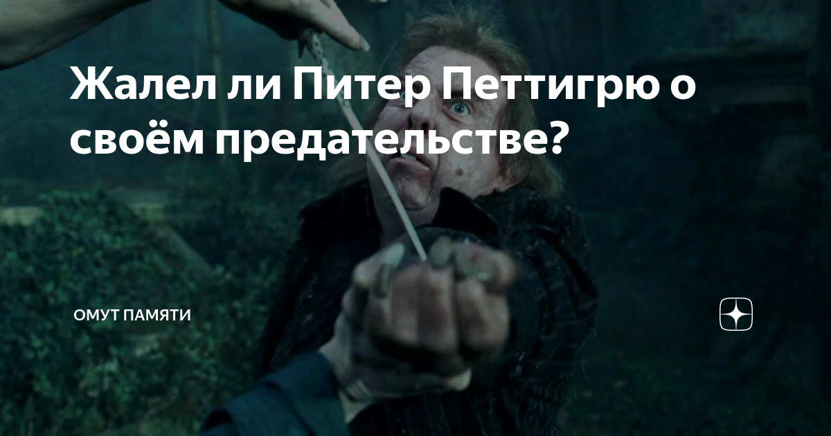 Жалел ли Питер Петтигрю о своём предательстве? | Омут памяти | Дзен