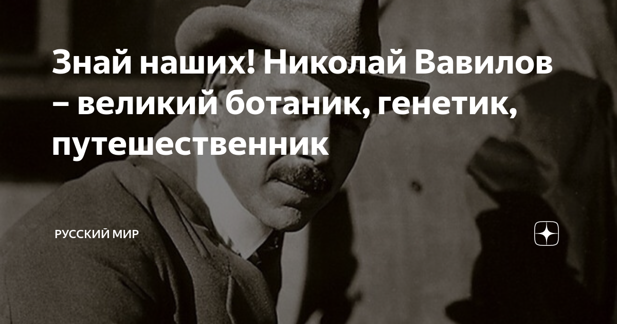 Знай наших Николай Вавилов великий ботаник генетик путешественник