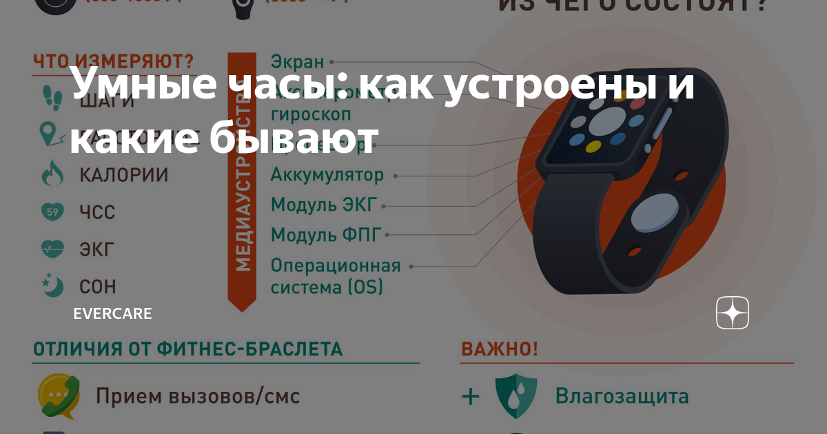 Умные часы: как устроены и какие бывают | EverCare | Дзен