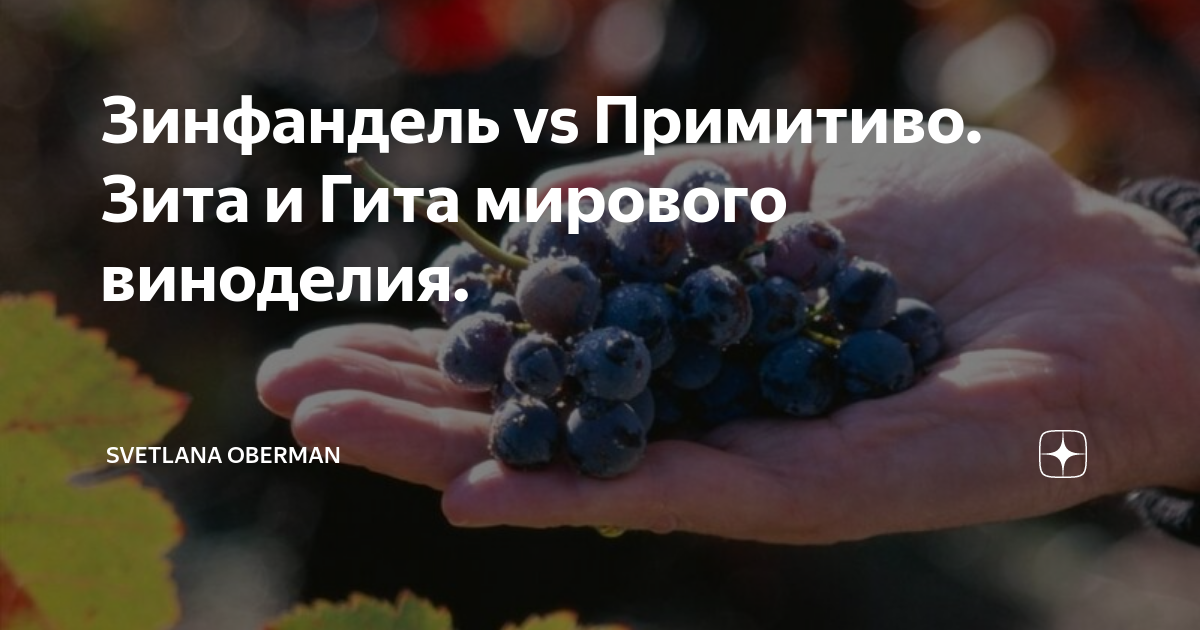 Зинфандель vs Примитиво. Зита и Гита мирового виноделия. | Svetlana ...