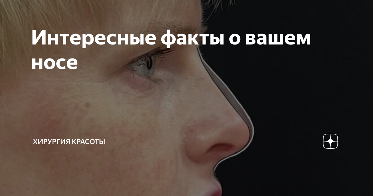 Интересные факты о вашем носе Хирургия красоты Дзен