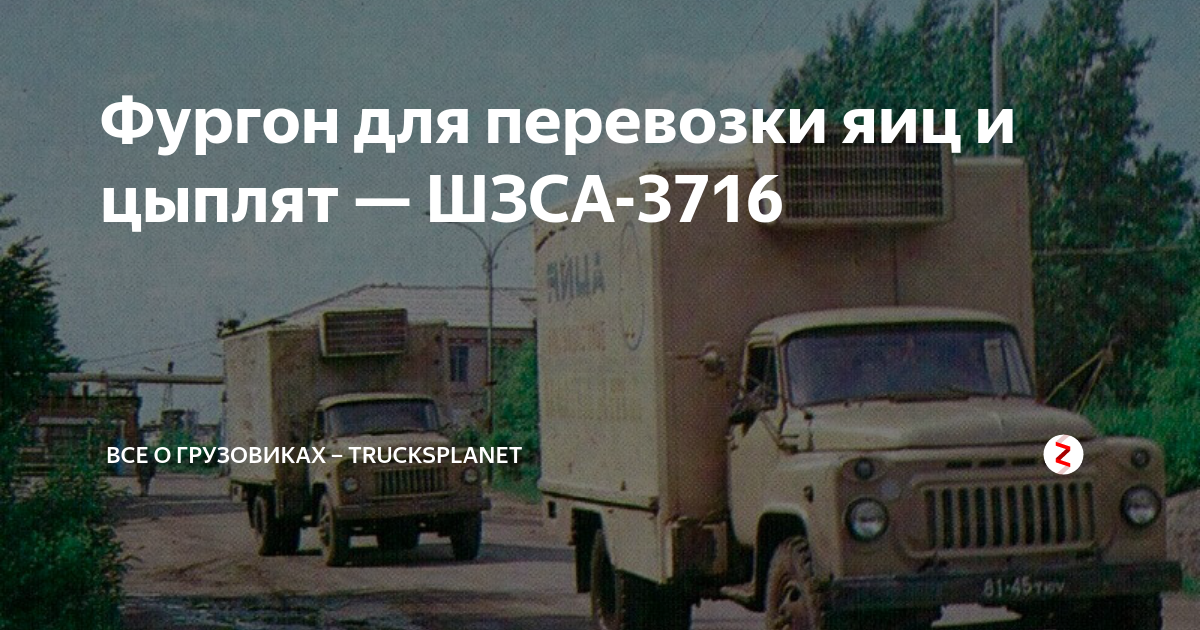 Фургон для перевозки яиц и цыплят — ШЗСА-3716 | Все о грузовиках ...