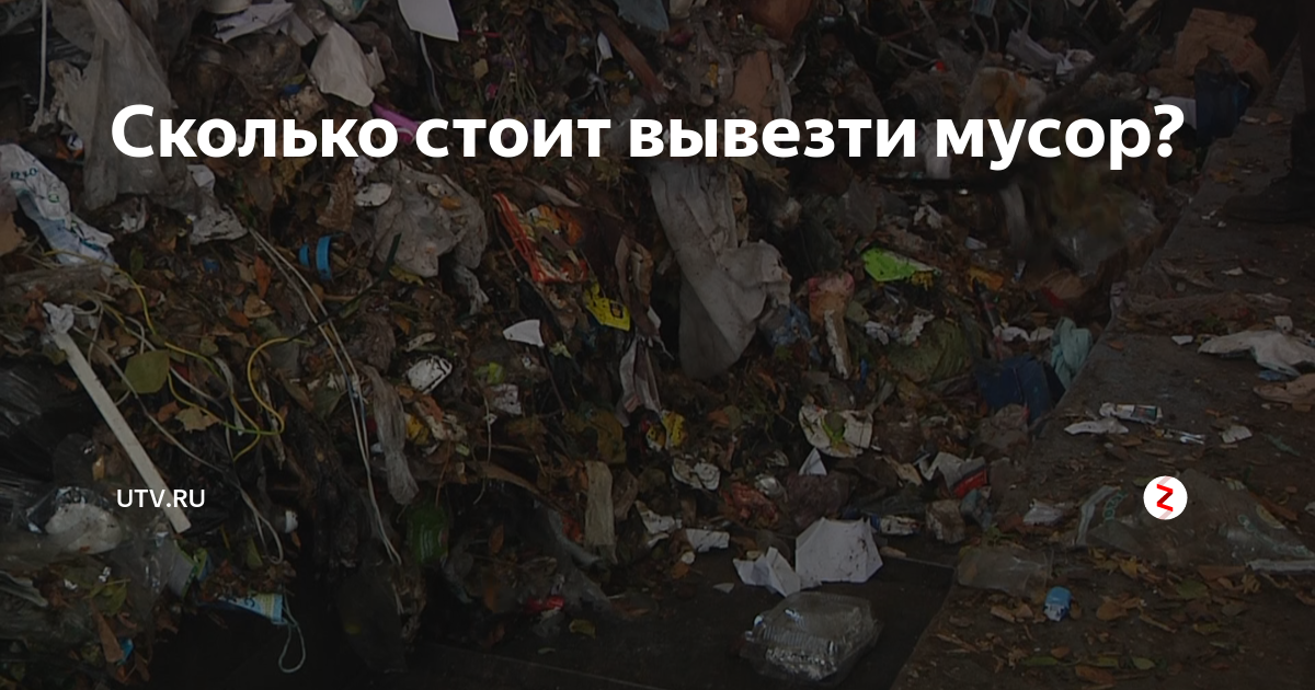 Сколько стоит вывезти мусор? | utv.ru | Дзен