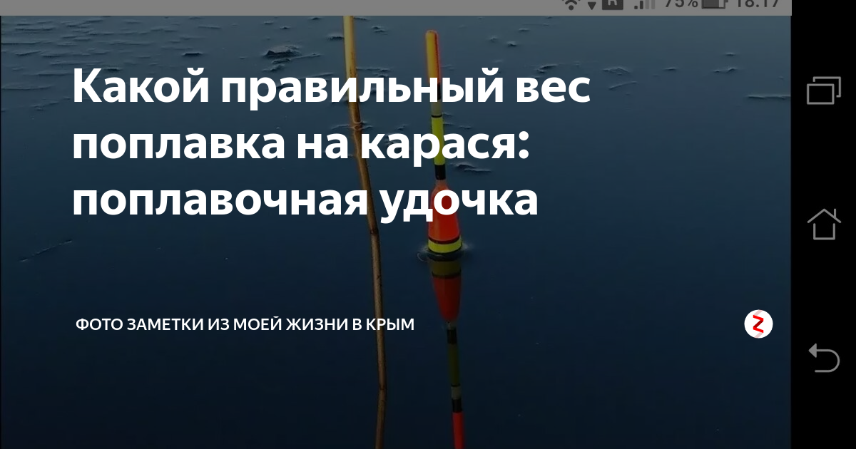 Какой правильный вес поплавка на карася: поплавочная удочка | Фото ...