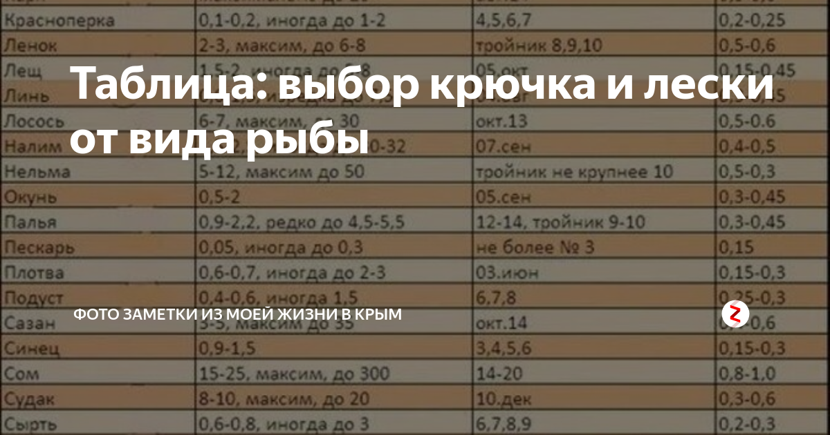 Таблица: выбор крючка и лески от вида рыбы | Фото заметки из моей жизни ...