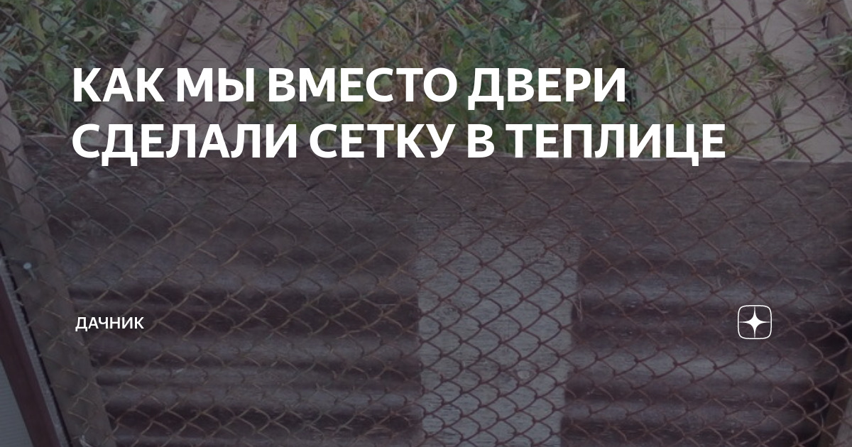 КАК МЫ ВМЕСТО ДВЕРИ СДЕЛАЛИ СЕТКУ В ТЕПЛИЦЕ | ДАЧНИК | Дзен