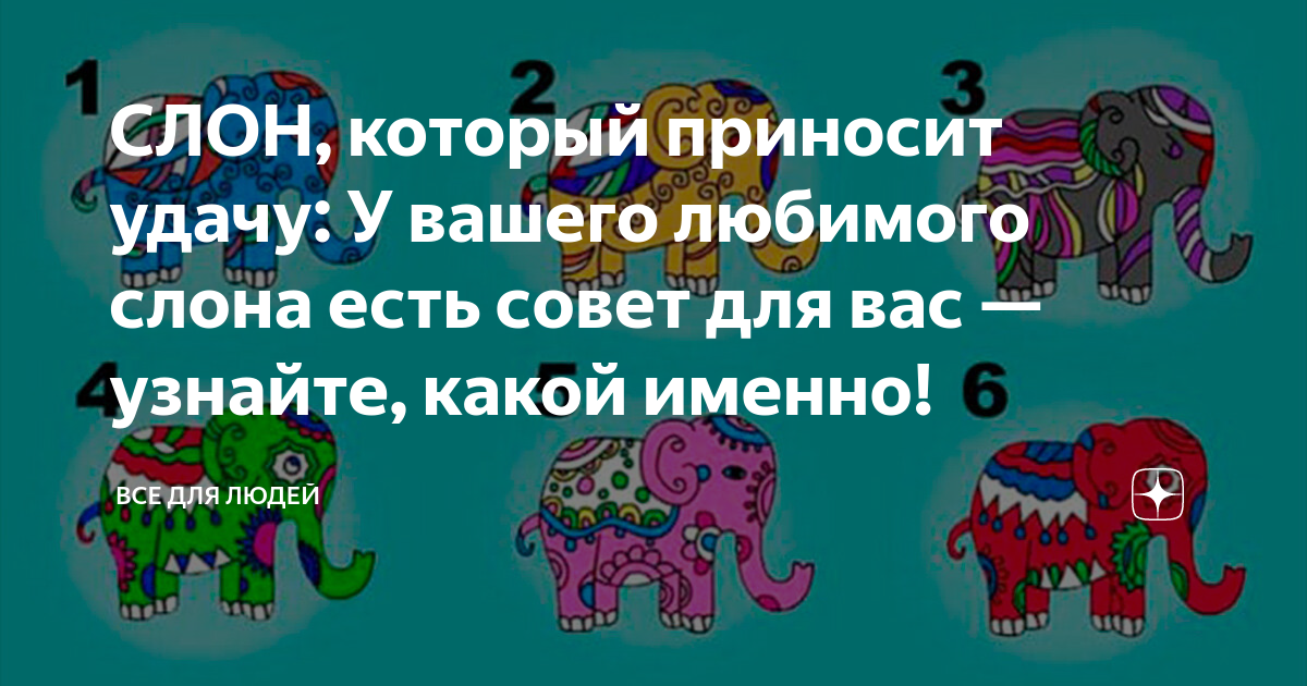 СЛОН, который приносит удачу: У вашего любимого слона есть совет для ...