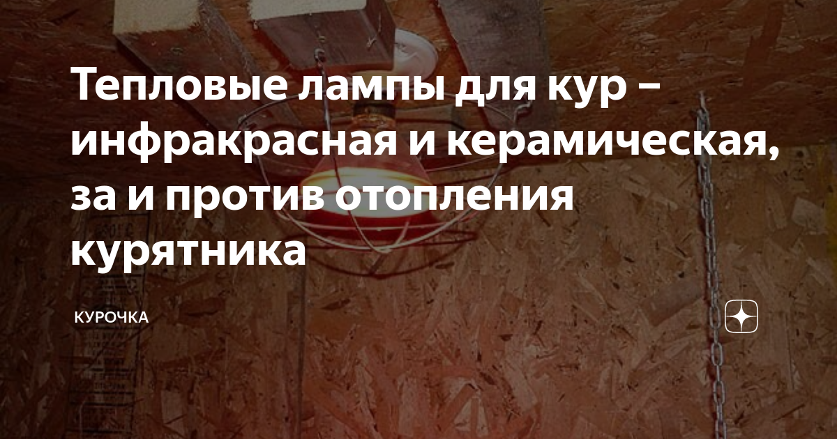 Тепловые лампы для кур – инфракрасная и керамическая, за и против ...