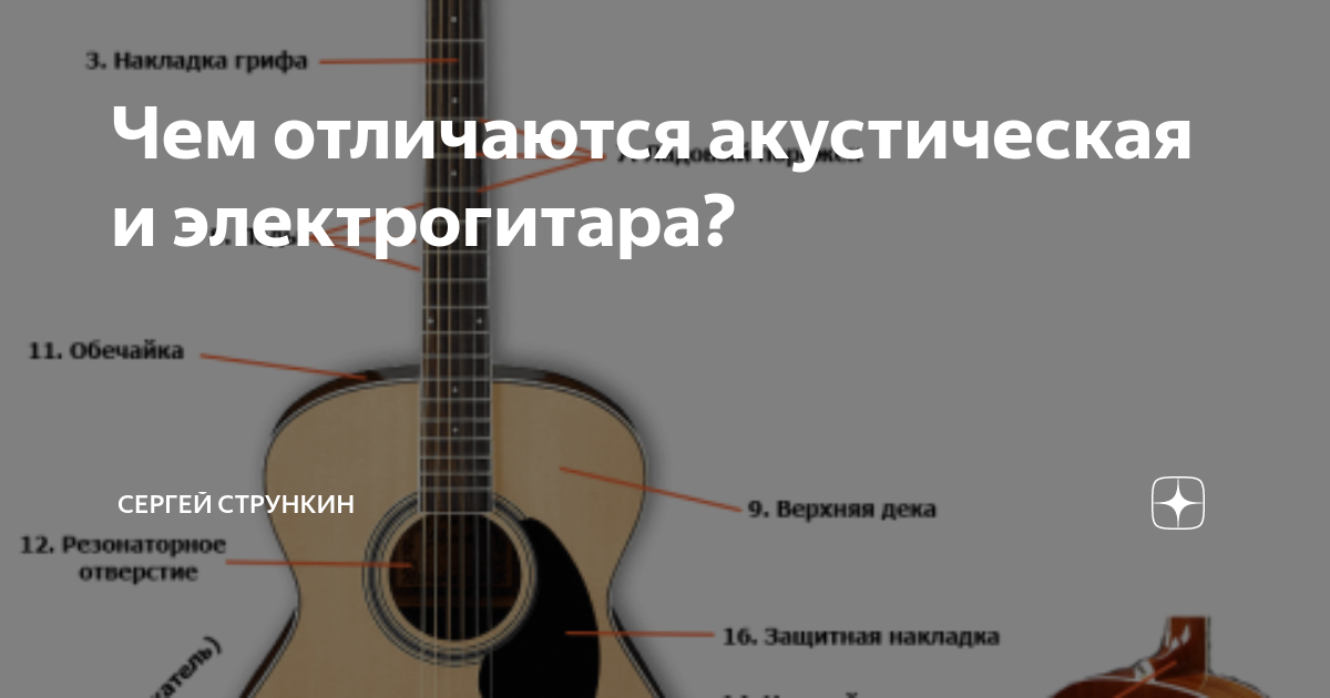 Чем отличаются акустическая и электрогитара? | Strunki.ru | Дзен