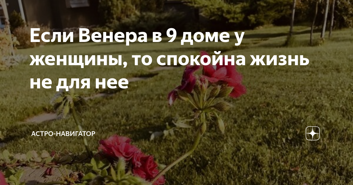 Если Венера в 9 доме у женщины то спокойна жизнь не для нее Астро