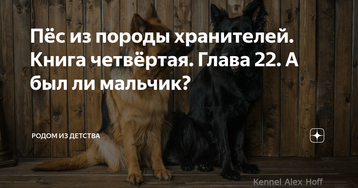 Пёс из породы хранителей. Книга четвёртая. Глава 22. А был ли мальчик ...
